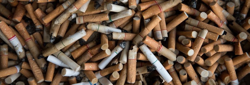 Nikotinvergiftung: Was tun? → Hier lesen, wie Sie sie richtig behandeln