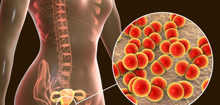 Was ist Tripper eigentlich?