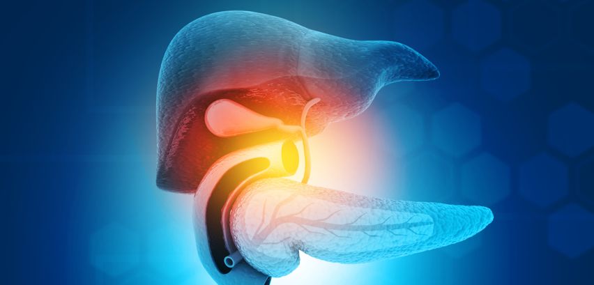 Entzündete Gallenblase → Lesen Sie alles zur Cholezystitis